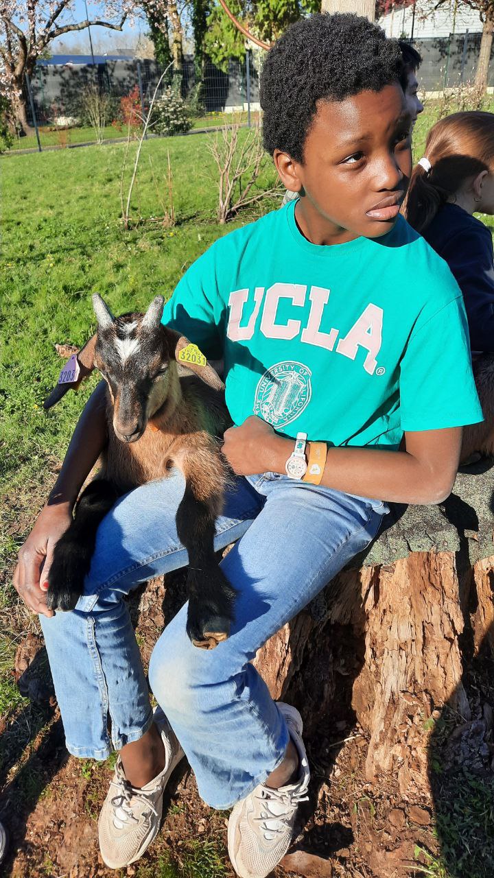 La famille s'agrandit, on sauve d'autres chevreaux de l'abattoir - ERPD ...